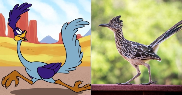 Cartoons compared to their real-life counterparts (20 Photos)