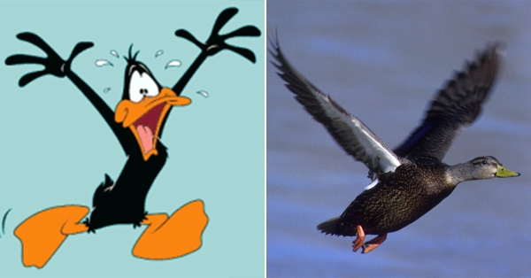 Cartoons compared to their real-life counterparts (20 Photos)