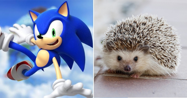 Cartoons compared to their real-life counterparts (20 Photos)