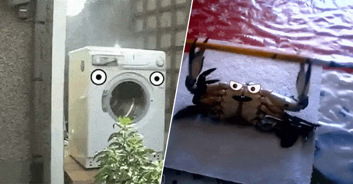 The real life doodle sketches make fun of reality