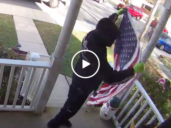 Mailman comes to the rescue of American flag brought down from storm ...