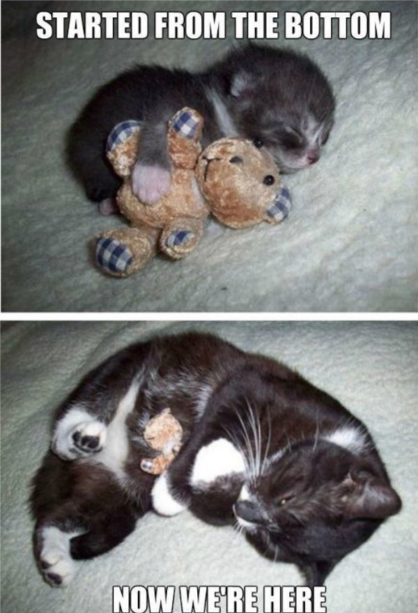 Song lyric memes that are oozing cheesy everywhere (27 Photos)