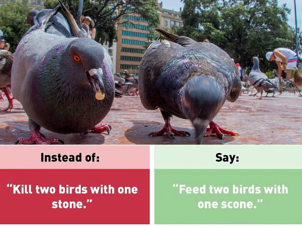 PETA demands we quit using 'anti-animal' phrases... cold turkey
