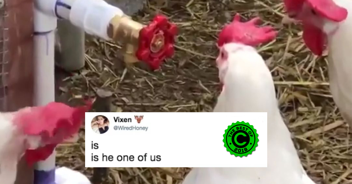 Best tweets of the year (52 Photos)