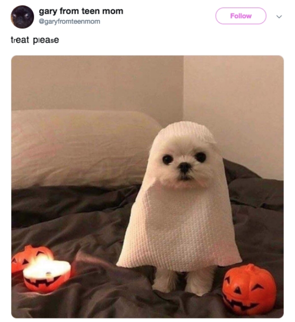 The best heckin' good boy tweets of 2018 (32 Photos)
