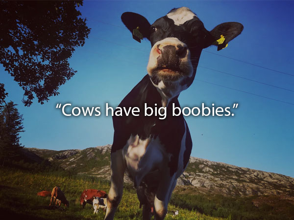 Teachers share inappropriate sh*t students said and couldn't laugh at