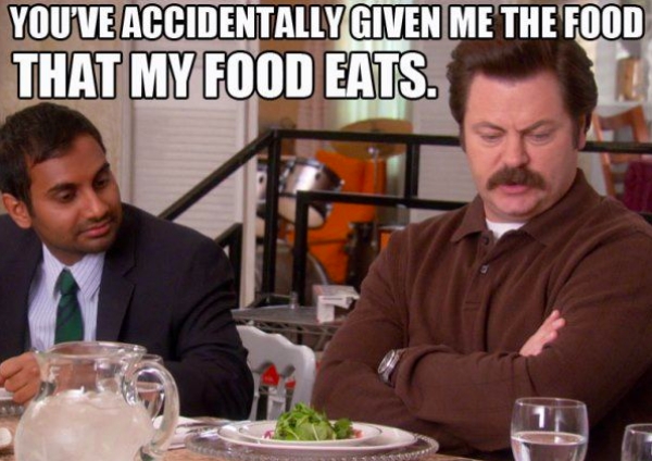 The best Ron Swanson moments served up with steak and a scotch (30 Photos)