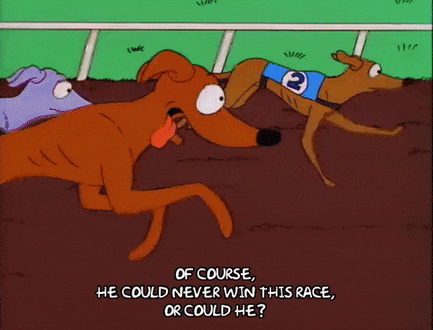 Be a good boy and fetch some facts about the fastest dog breeds