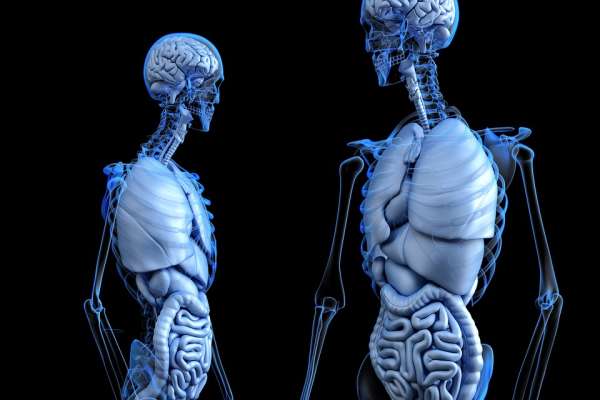 Profound ways the human body changes every ten years