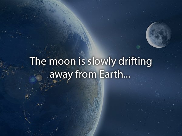 Lunar facts from the dark side of the moon
