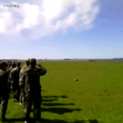 Pilots accomplishing some incredibly daring feats