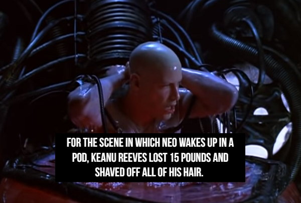 Plug into some facts about 'The Matrix'