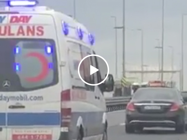 I’ve never wanted to crawl through my computer screen and fight someone ...