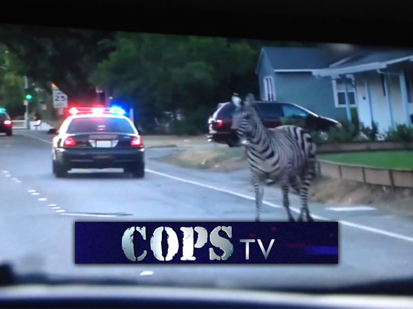 Watcha Gonna Do When These 'Cops' Facts Come For You?