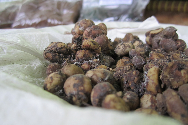 Cat Poop Arrow Coffee Emoji