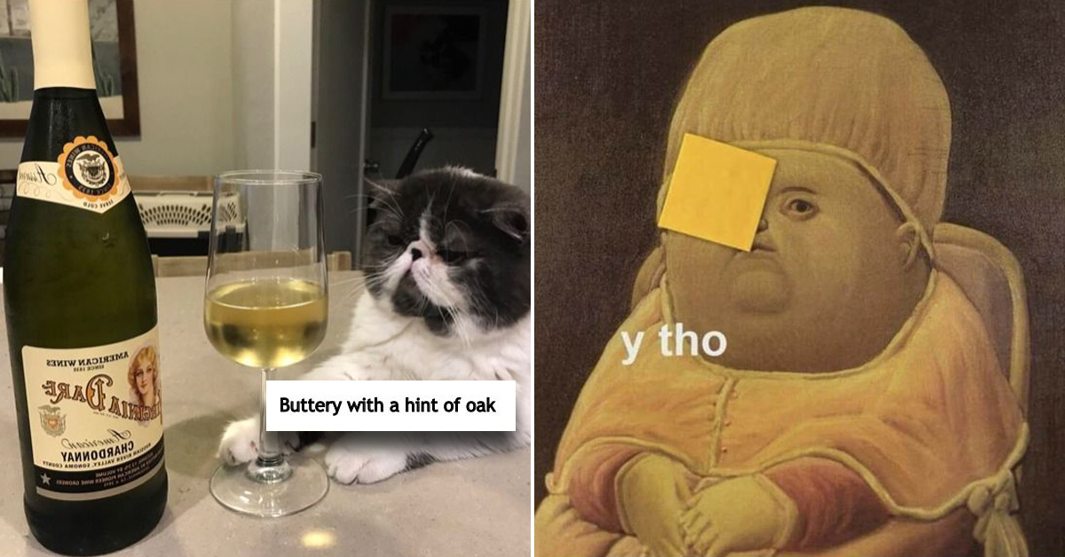 Hilarity straight from the funniest people on the internet