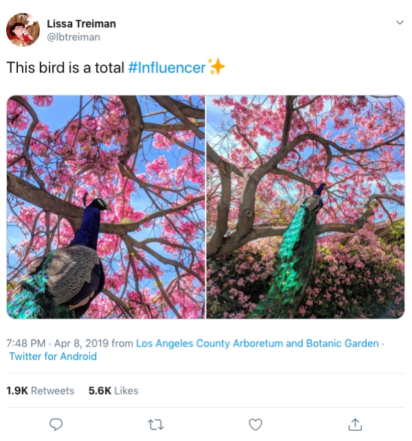 Making jokes at the expense of “influencers”