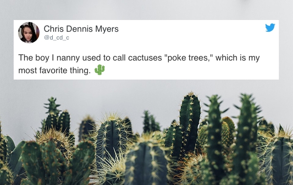 Kids renaming regular things is such a hilarious treat