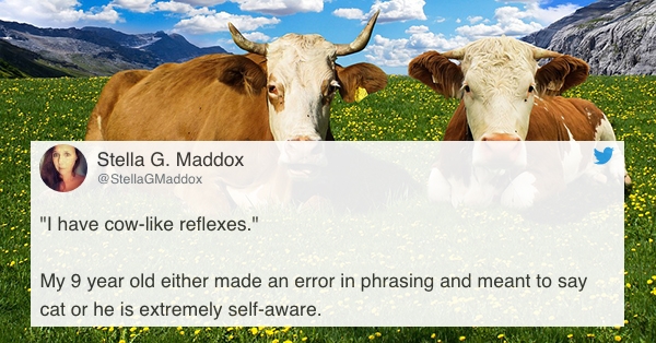 Kids renaming regular things is such a hilarious treat