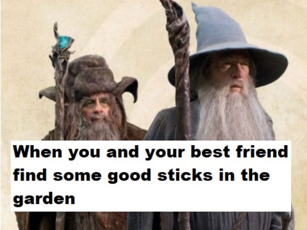 Top-notch memes of the week