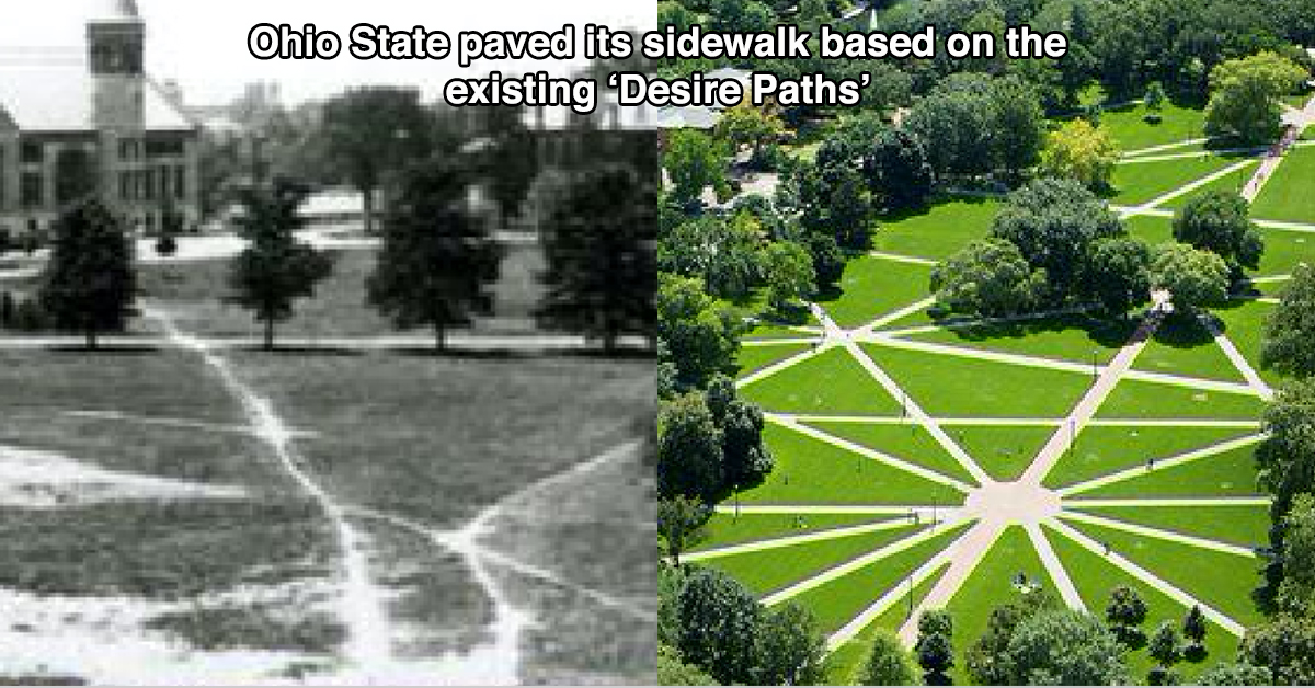 ‘Desire Paths’ — an interesting look at how we move from point A to B ...