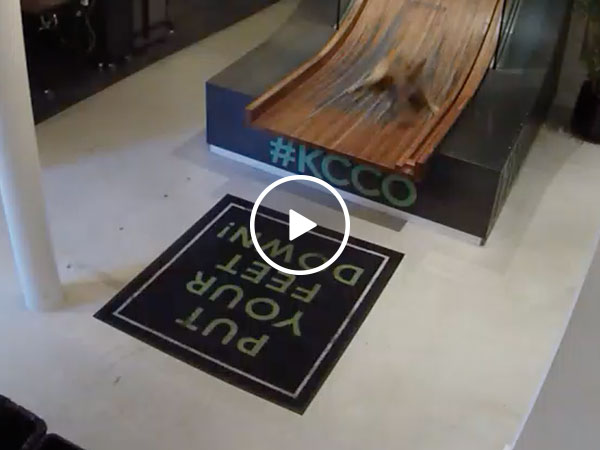 Dog takes an unexpected tumble down the slide at theCHIVE HQ (Video)
