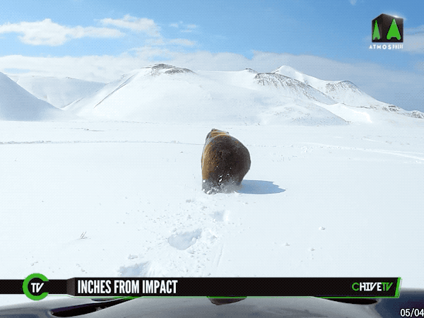 Inches from Impact (19 GIFS)
