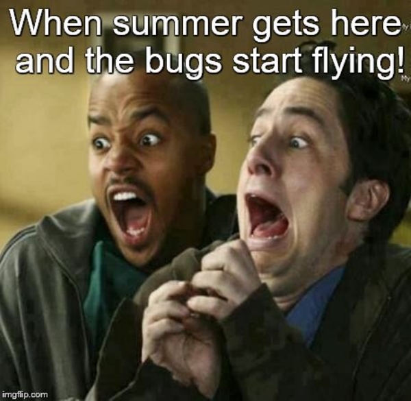 Memes that perfectly sum up what summer is like