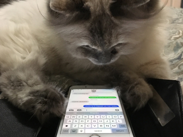 The Best Original User Photos of the Week!