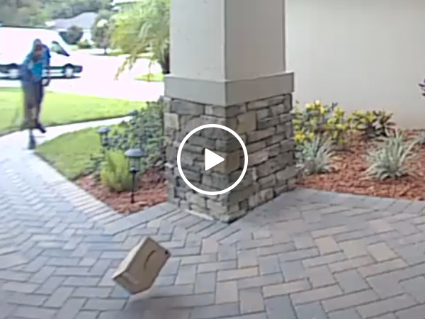 The one and only time it’s acceptable to throw a package (Video)