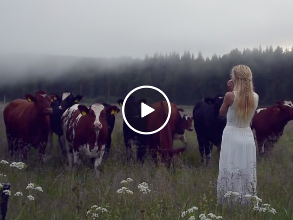 This ancient Swedish herding call is hauntingly beautiful (Video)