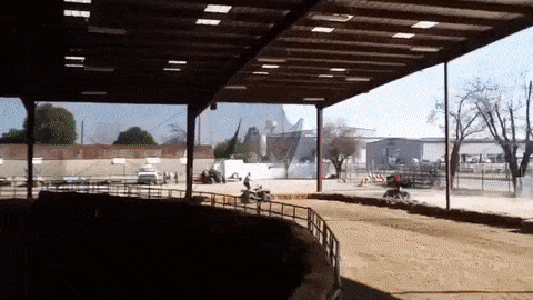 Dads with amazing reflexes for their children