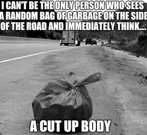 Memes for anyone obsessed with murder crime TV shows (30 Photos)