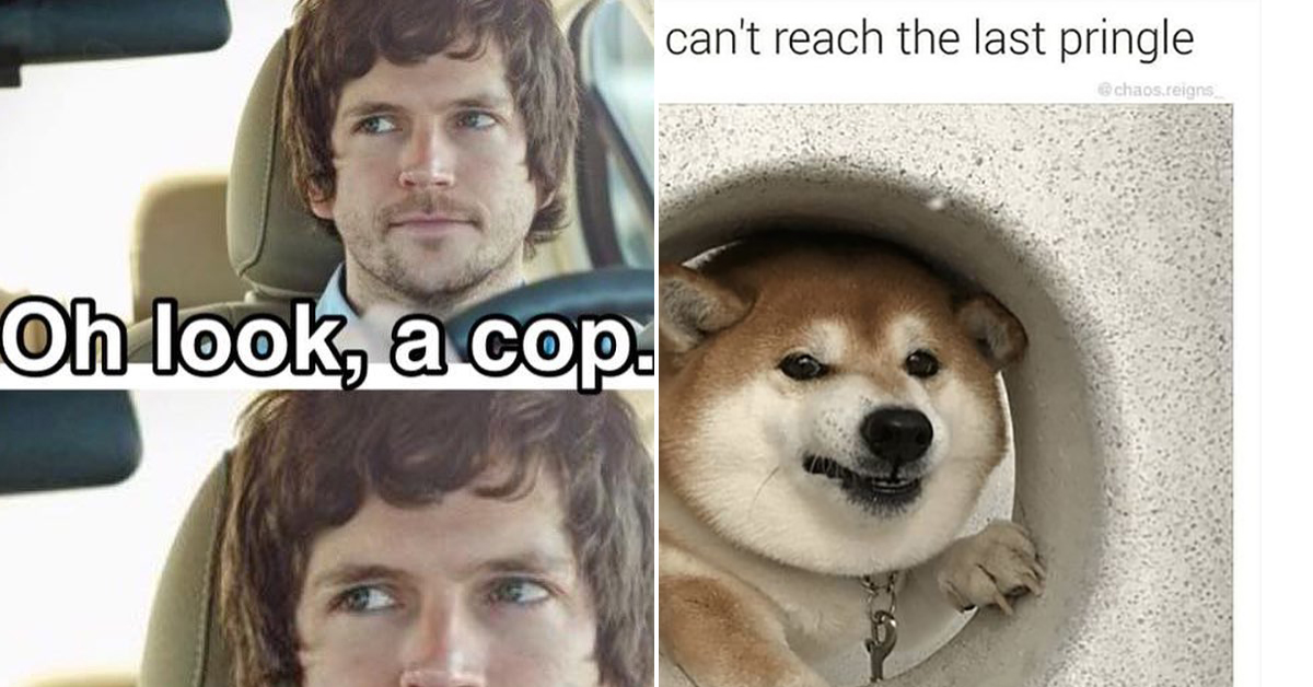 True Memes | So True & Funny But True Memes - theCHIVE