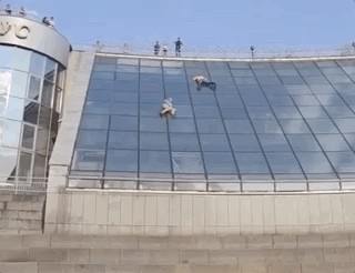 Unfortunately, You Can't Cure Stupid