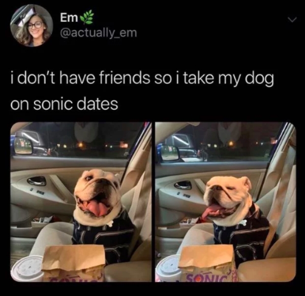 Dog memes to show your dog even though he can't read (30 Photos)