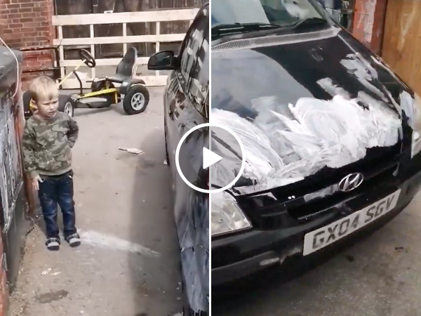 Welp, good luck with that whole adoption process kid… (Video)