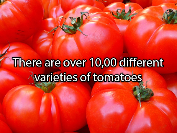 Interesting Food Facts Served Up Hot