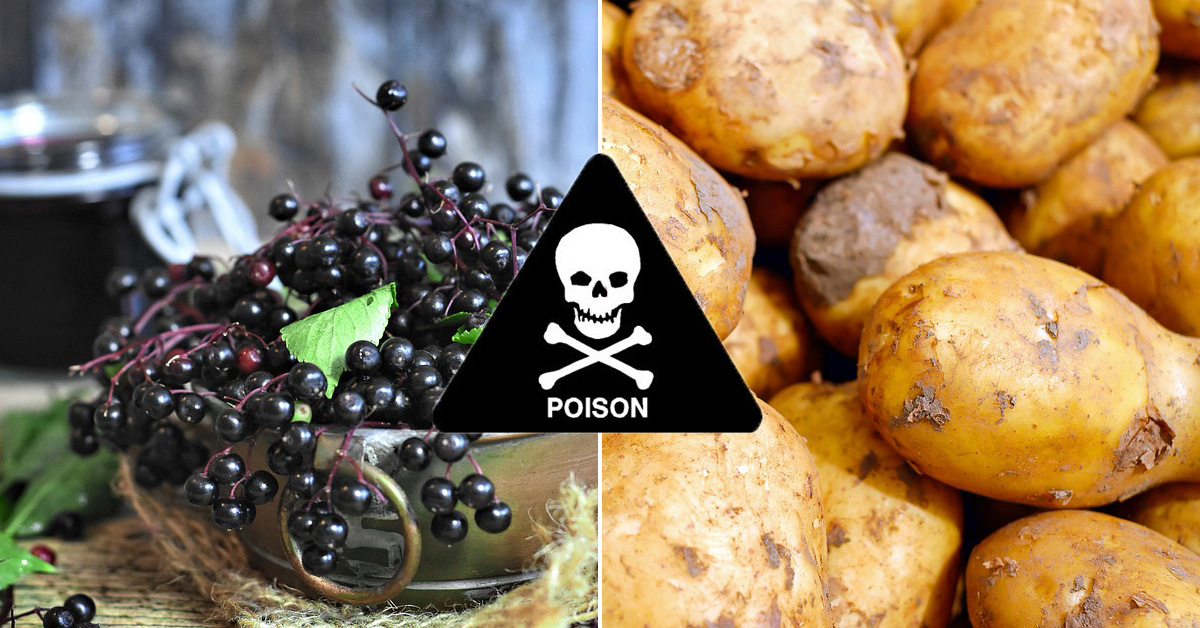 10 "healthy" foods that may have deadly consequences