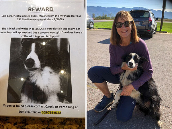 Lady Risks It All To Find Her Lost Dog
