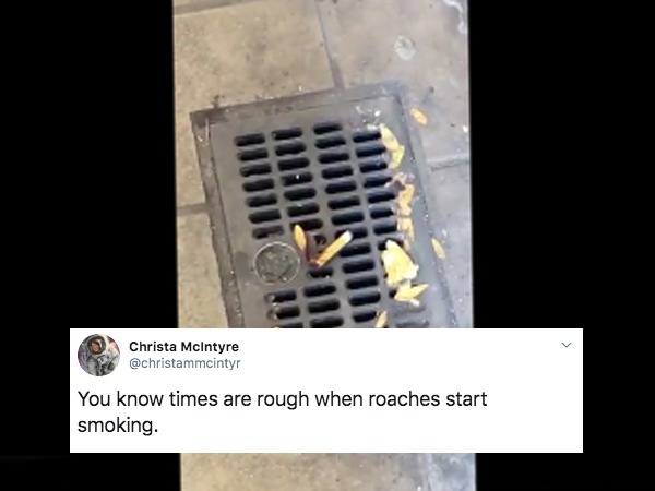 This cockroach with a cigarette is basically all of us on the struggle ...