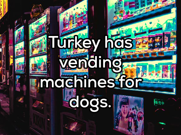 People shared the happiest and most uplifting facts they knew