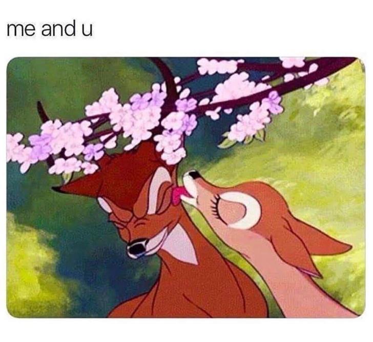 Flirtatious memes to send to your better half