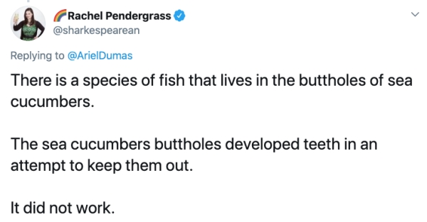 Some Totally Random Facts To Add To Your Collection