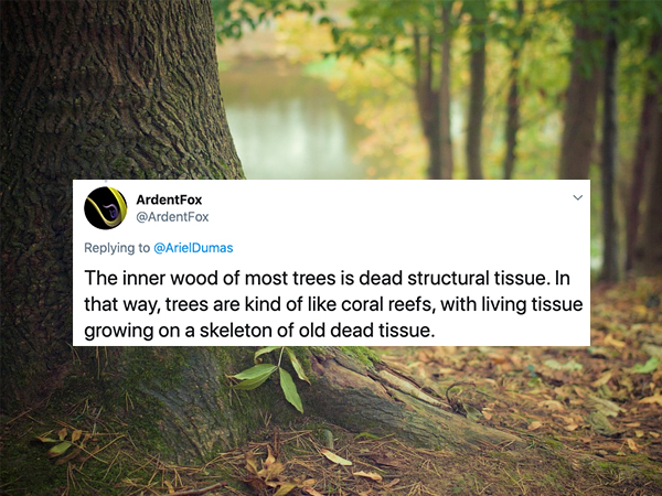 Some Totally Random Facts To Add To Your Collection