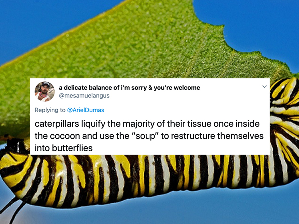 Some Totally Random Facts To Add To Your Collection