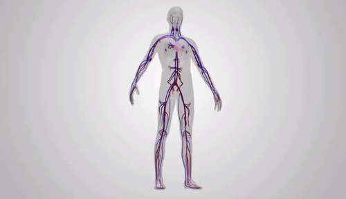 Science explains the functions behind our strange body