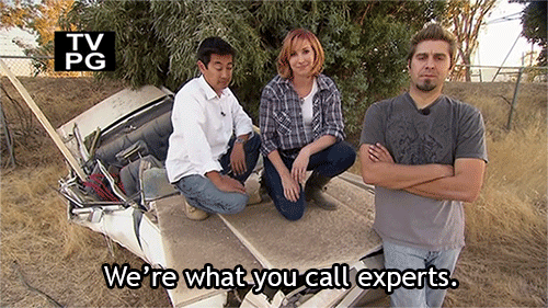 When it comes to tree removal, trust the experts