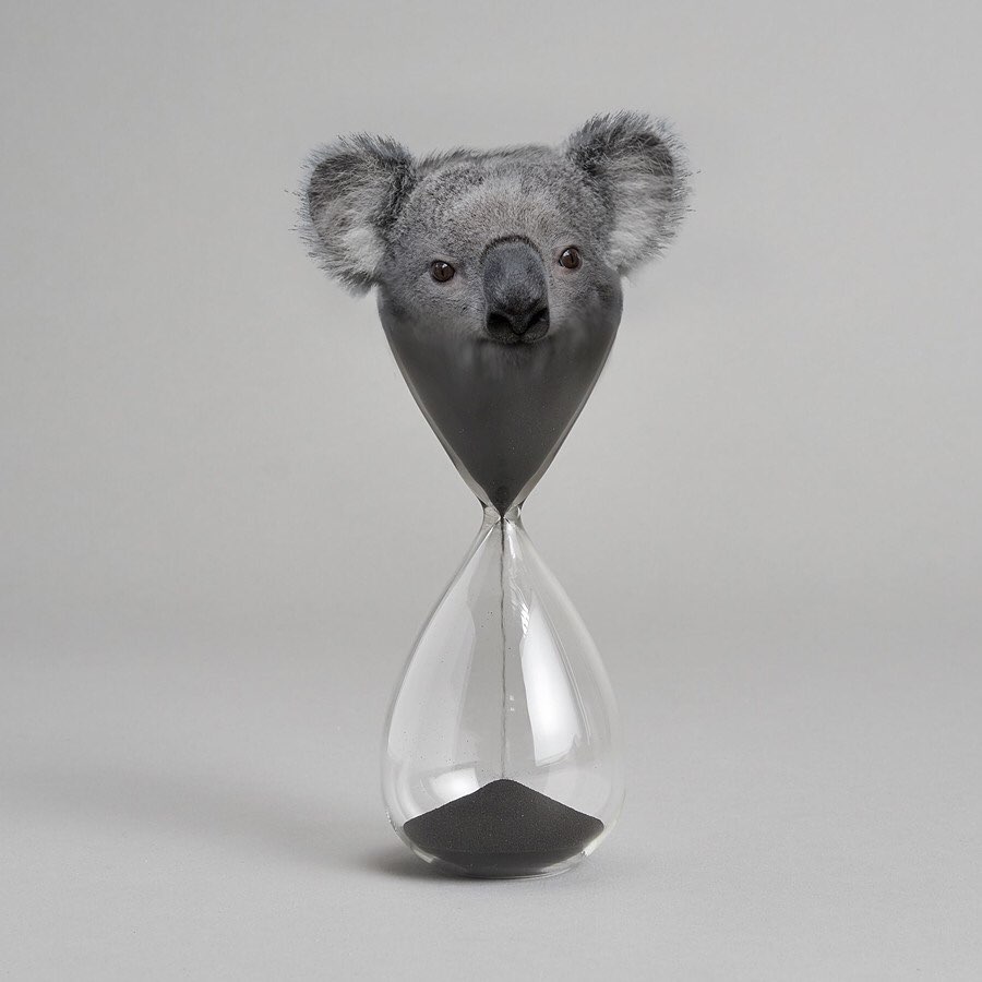 Person Can't Stop Photoshopping Animals Onto Random Things