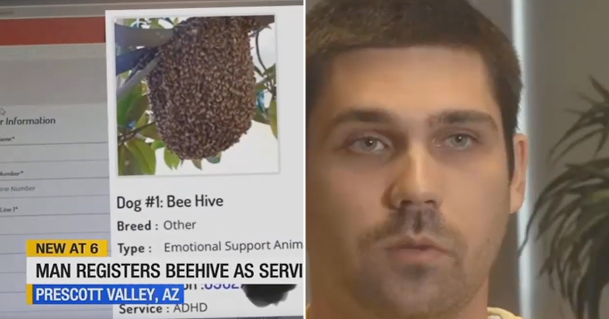 This man really just registered bees as 'emotional support bees'
